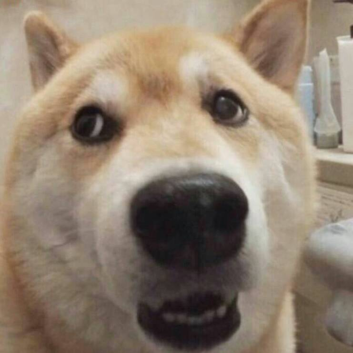 【JAVA每日分享-1】@DateTimeFormat 和 @JsonFormat区别和作用吗？ - 知乎