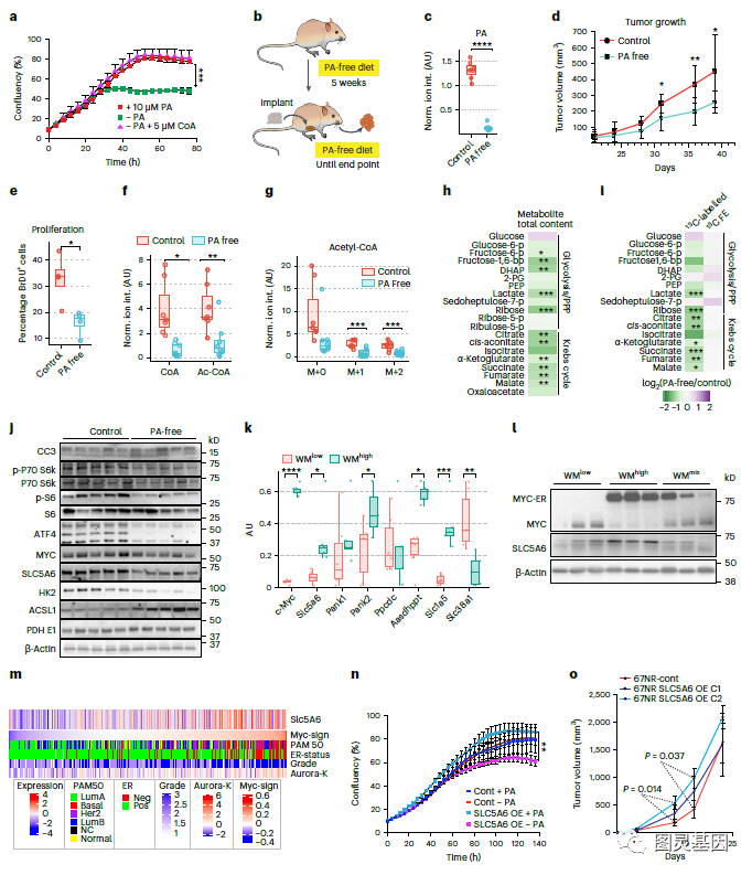 Nature | MYC蛋白帮助癌症吸收维生素B5 - 知乎