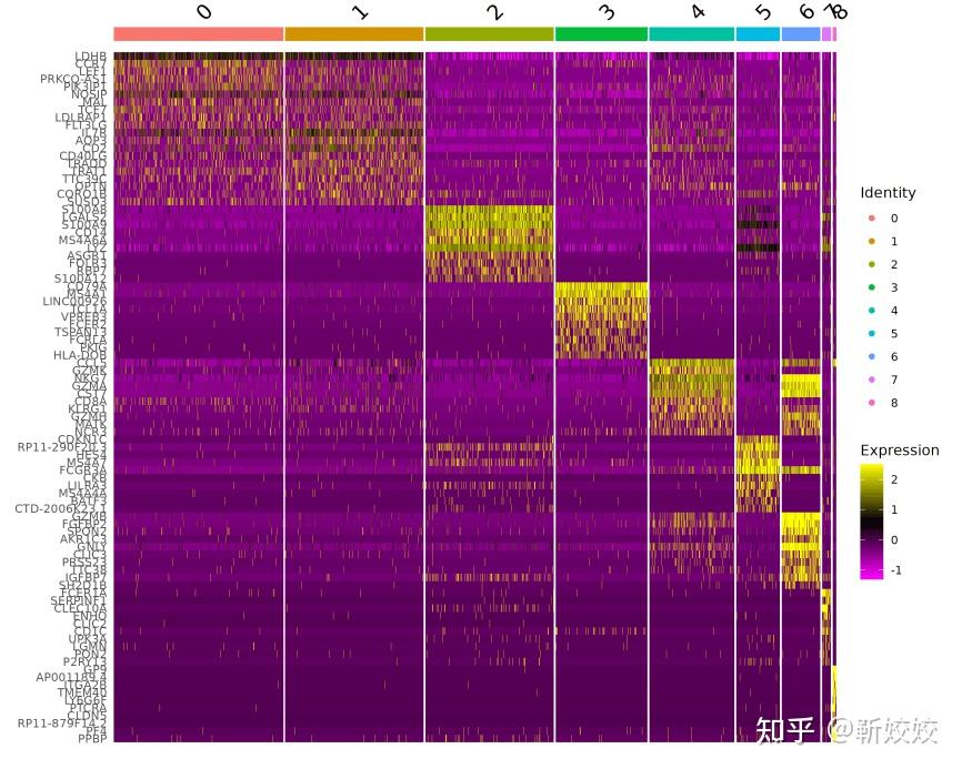 实用指南丨用Seurat包和SingleR包进行单细胞测序数据分析 - 知乎