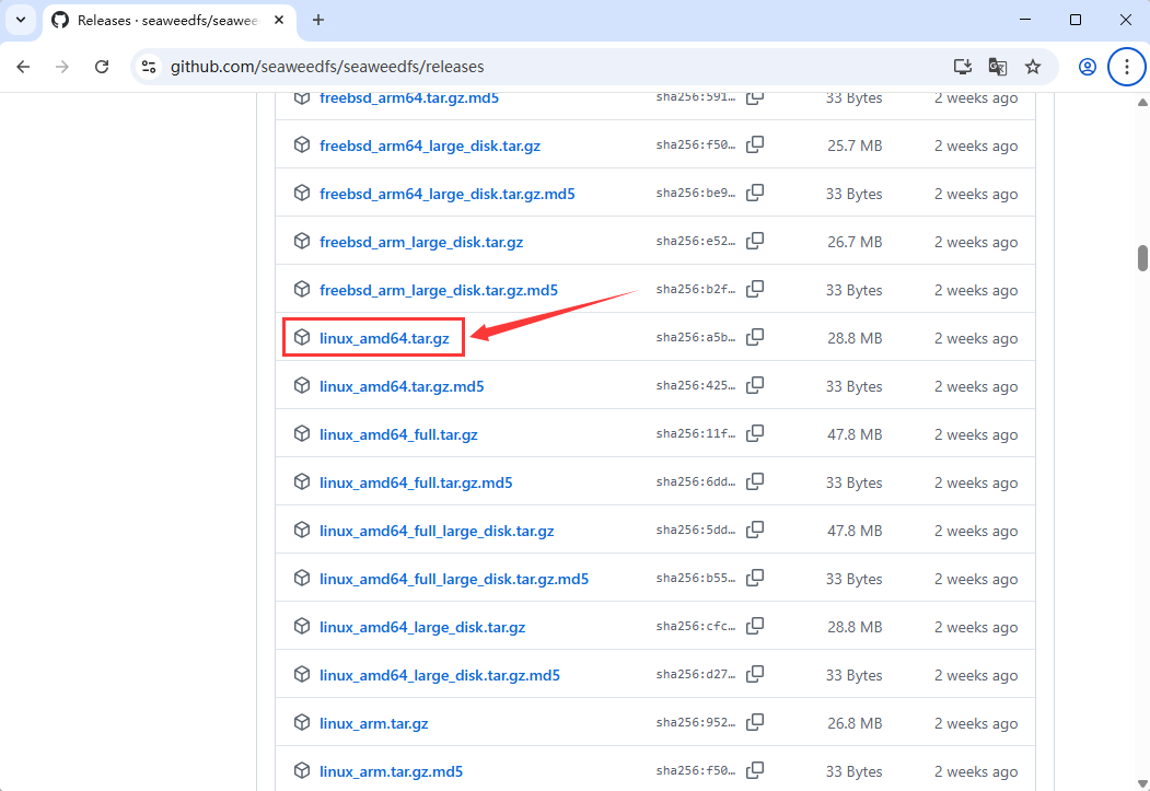 本地部署开源分布式文件系统 SeaweedFS 并实现外部访问（ Linux 版本） - 知乎