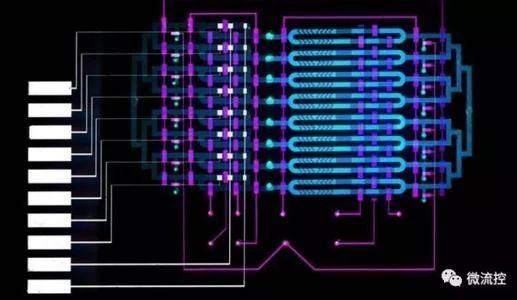 Cell | 高空间分辨率的微流控空间组学DBiT-seq - 知乎