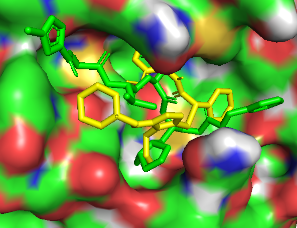 Autodock分子对接详细步骤 - 知乎