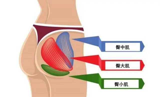 女生练臀，如何把上臀练好？ 知乎 0247