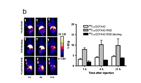 DOTA-PEG-galactose/DOTA-PEG-Glucose/DOTA-PEG-Lactosyl/DOTA-PEG-Xanthan 大环配体-聚乙二醇-半乳糖 - 知乎