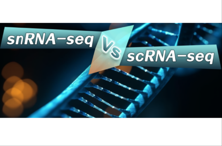snRNA-seq vs scRNA-seq谁更nice，用数据说话 - 知乎