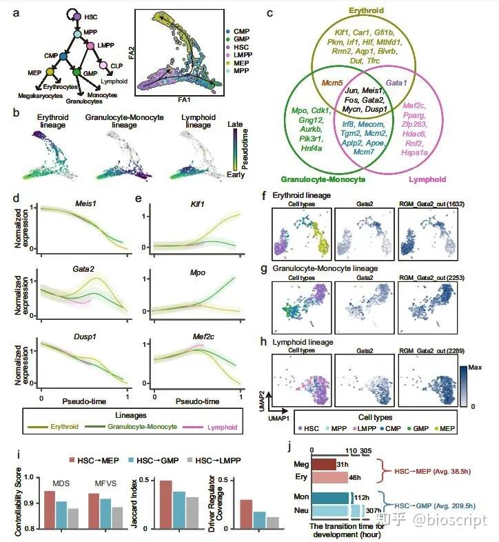 CEFCON：更加精准的发现细胞状态/类型改变的动态驱动调节因子 - 知乎