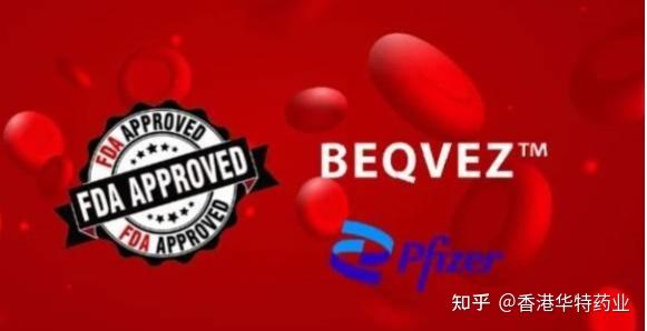 B型血友病第二种一次性基因疗法：Beqvez获FDA批准 - 知乎