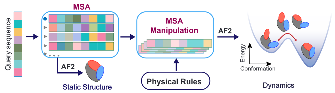 PNAS | 使用能量挫折分析和AlphaFold2预测蛋白质构象运动 - 知乎