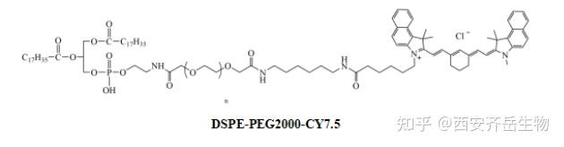 DSPE-PEG-CY3/CY3.5/CY5/CY7/CY7.5的对比和联系 - 知乎