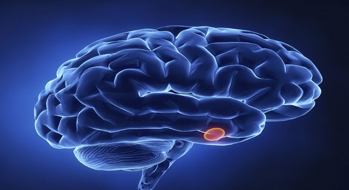 Cell Res | 大规模多组学分析发现垂体瘤组织亚型与靶点 - 知乎