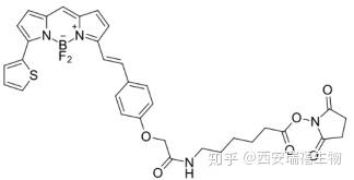 BODIPY系列荧光染料BDP 630/650 X NHS ester瑞禧生物 - 知乎