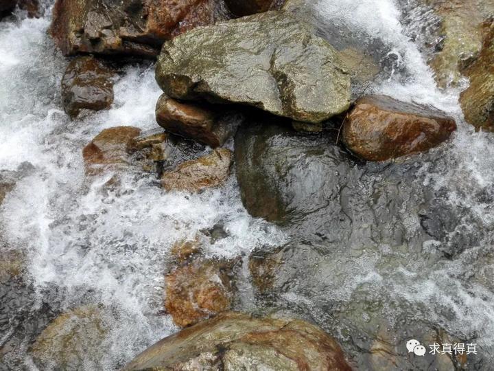 PRACK消息 - 知乎