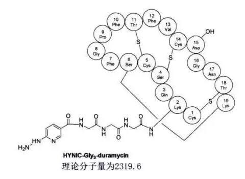 HYNIC-Gly3-duramycin的结构包括一个重氮基团和三个氨基酸残基 - 知乎