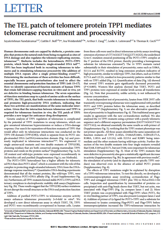【文献翻译】端粒蛋白TPP1的TEL patch介导端粒酶的募集和加工 - 知乎
