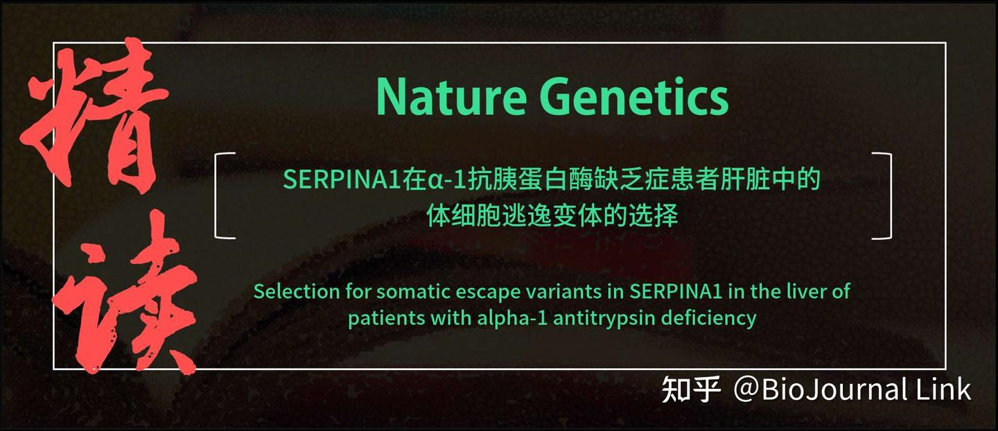 基因组 | Nat.Genet | SERPINA1在α-1抗胰蛋白酶缺乏症患者肝脏中的体细胞逃逸变体的选择 - 知乎