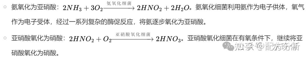 【解析】读懂硝化、反硝化及工艺 - 知乎