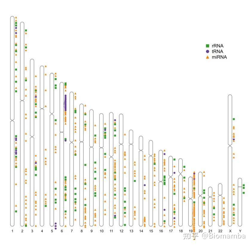 染色体可视化神包——RIdeogram - 知乎