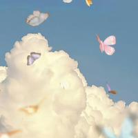 快速了解pGreenII 0800-Luc Plant Expression Vector植物表达载体的作用机制和应用场景 - 知乎