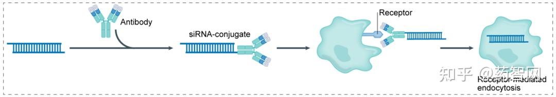 眨眼之间，吸金160亿的AOC药物 - 知乎