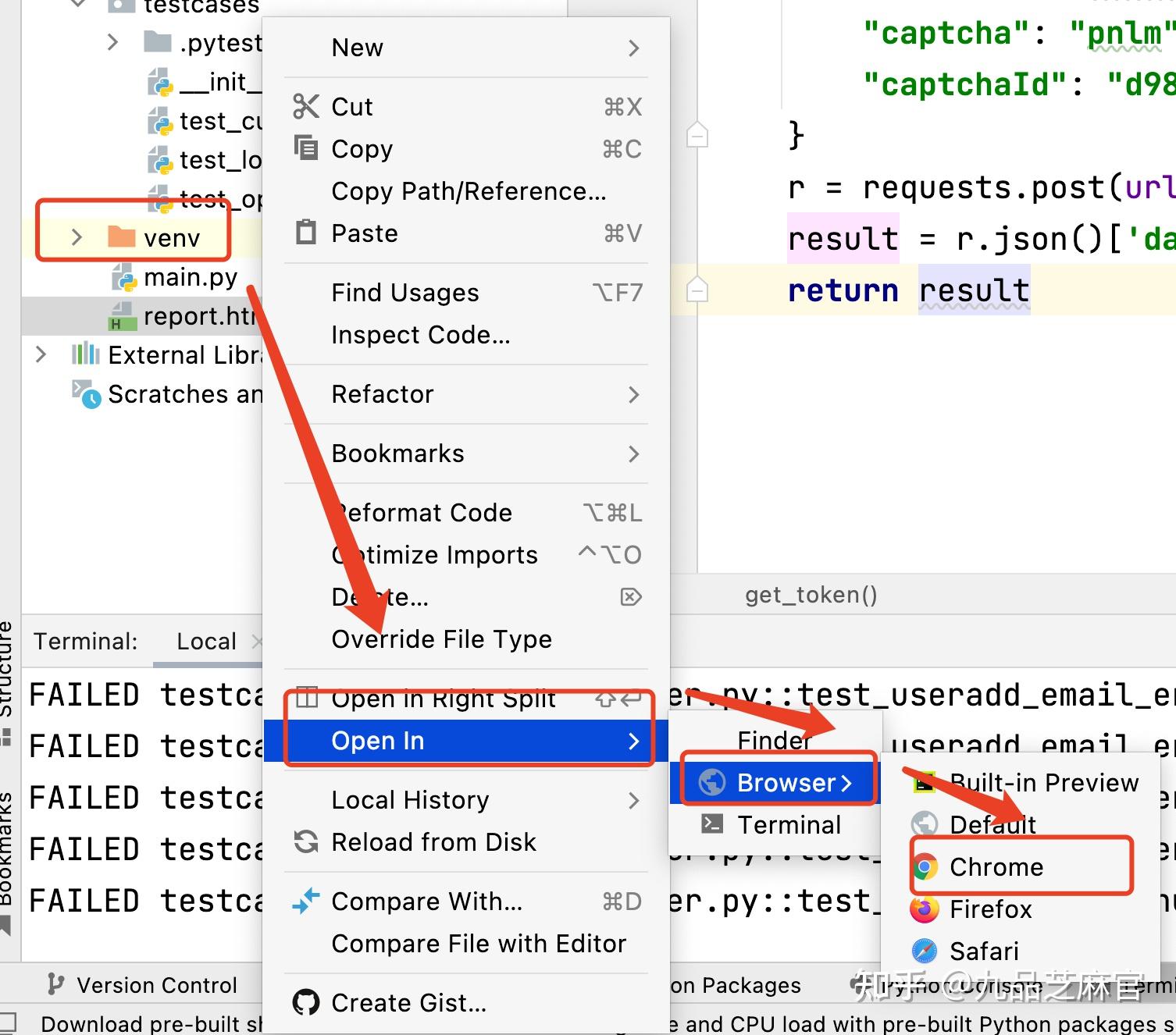 Pytest生成html格式测试报告 - 知乎