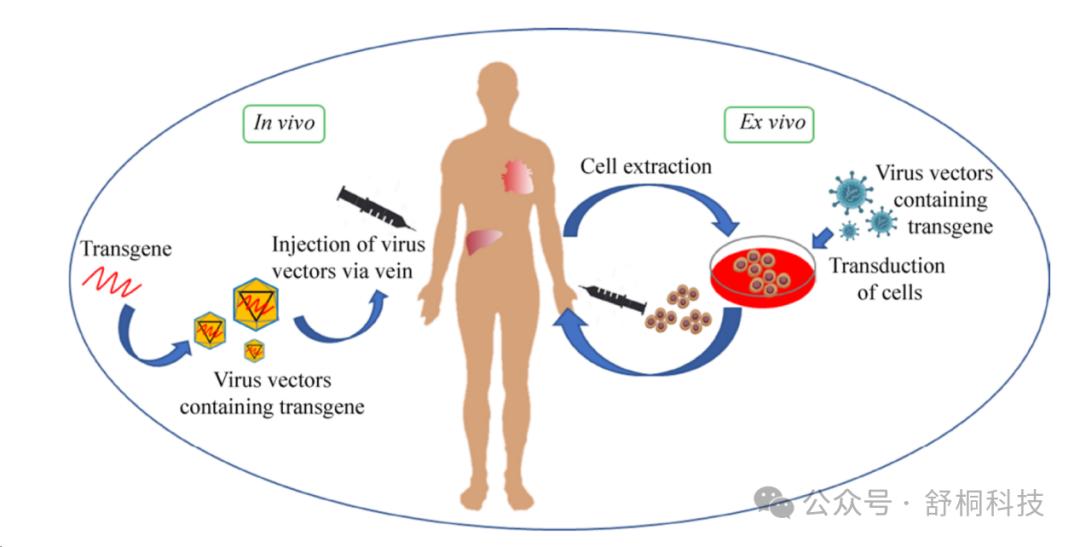 nrLAM-PCR，临床基因治疗中载体整合位点鉴定技术 - 知乎