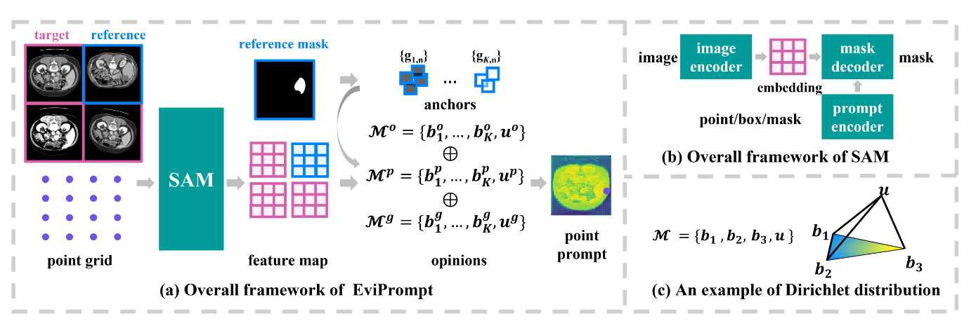 SAM在医学影像中的应用（最新） - 知乎