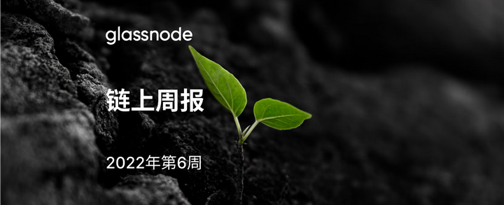 Glassnode链上周报（2022年第6周） - 知乎