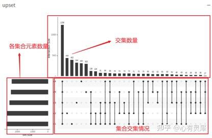 R语言如何绘制Upset图 - 知乎