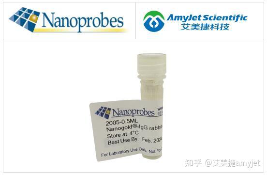 Nanoprobes丨Nanogold 印迹和免疫化学技术 - 知乎