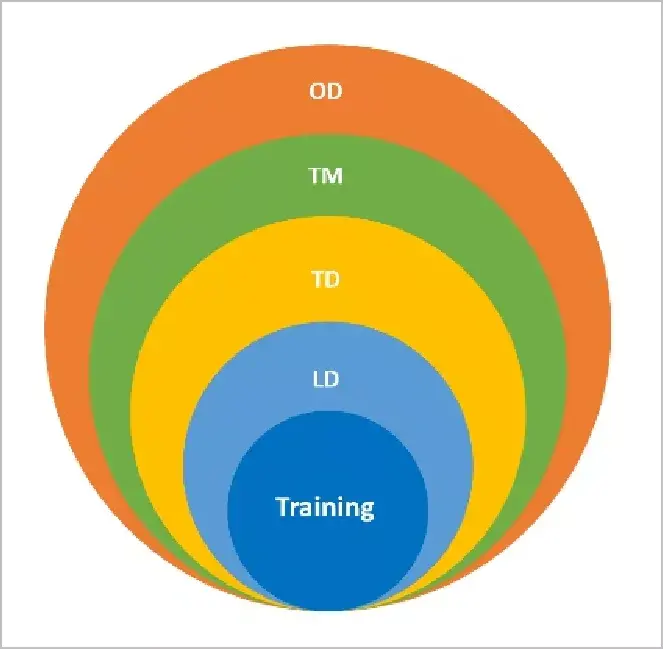 【HR】人力资源六大模块和OD（组织发展）的区别，以及链接？ - 知乎
