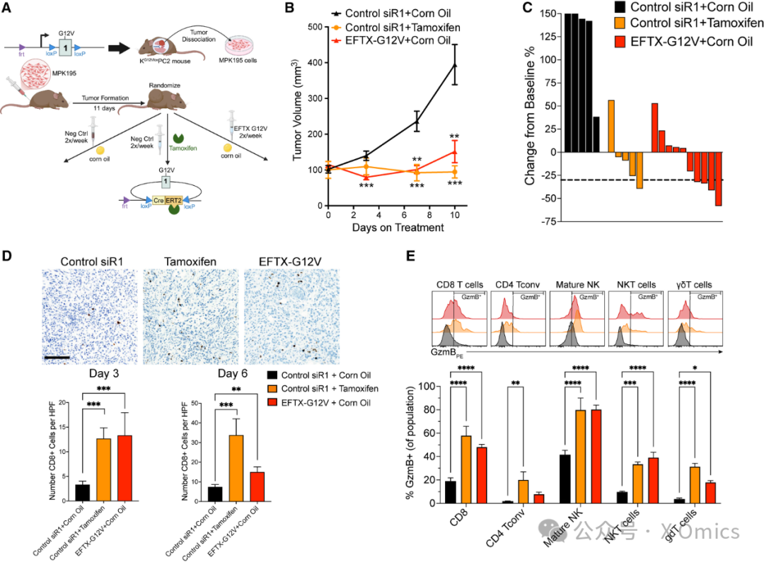 Cancer Cell | 全球首款EGFR导向的KRAS-G12V选择性抑制剂横空出世，攻克"不可成药"靶点！ - 知乎