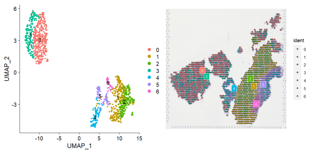 空间转录组|Load10X_Spatial函数修改适配多形式数据 + 空转标准流程 - 知乎