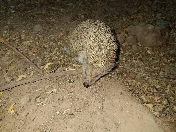 RRF（Reciprocal Rank Fusion）排序融合 - 知乎