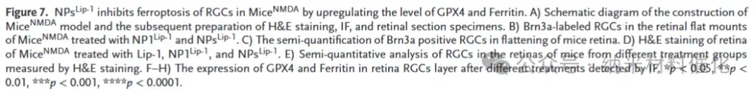 【Adv.Mater】铁螯合和活性氧清除聚合物与硫酮和硫醚键传递铁死亡抑制剂Lip‐1提供急性青光眼视网膜神经节细胞三联治疗策略 - 知乎