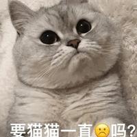 AAAI 2025 | TextRefiner: 内部视觉特征作为属性知识实现局部对齐 - 知乎