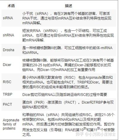 生信+实验文献精读VII：shRNA和siRNA的区别 - 知乎