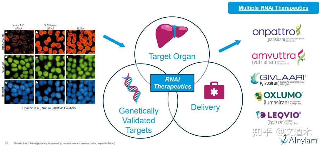 RNAi技术：先锋公司Alnylam - 知乎