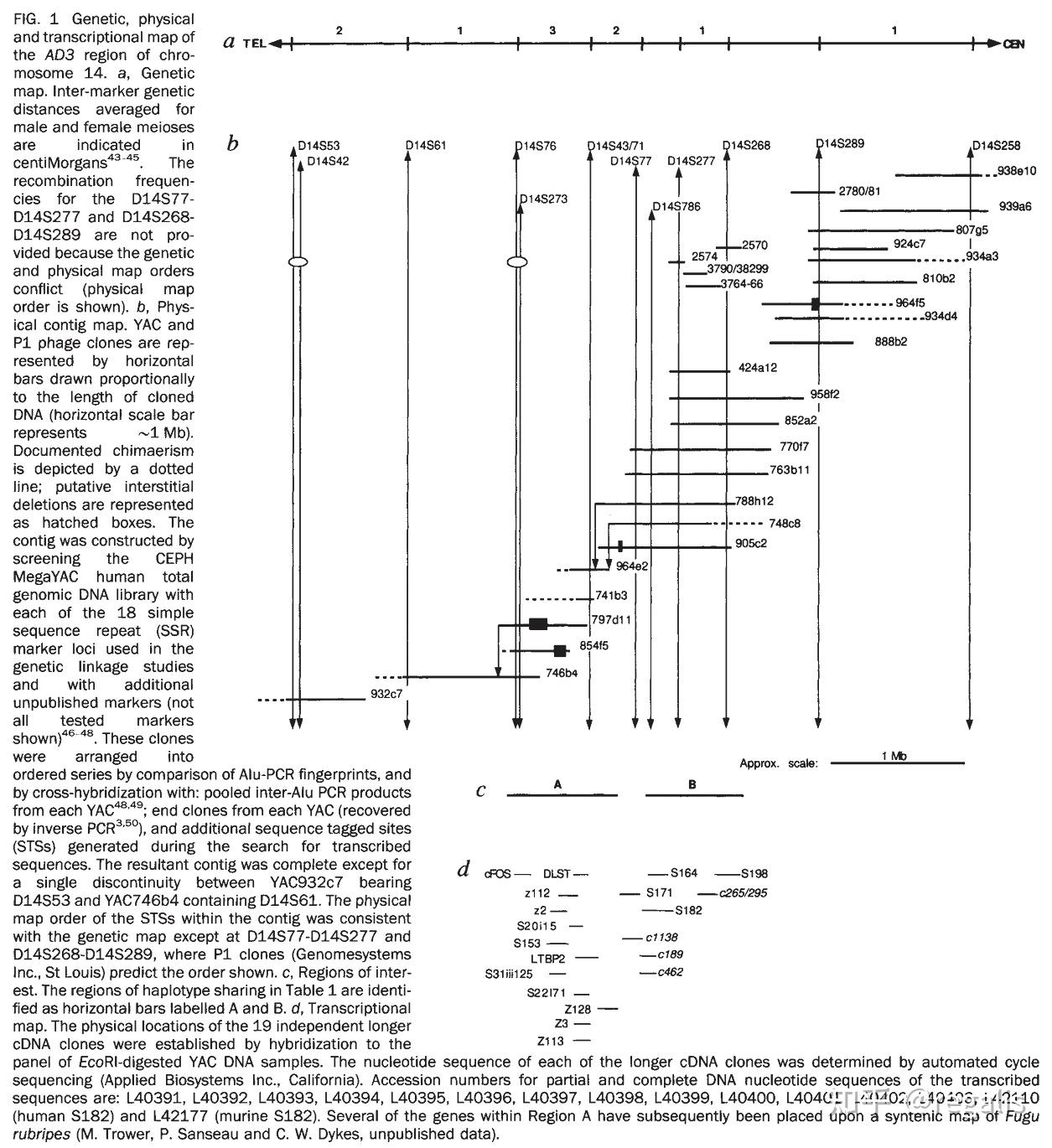 presenilin-1/2的发现与early-onset AD - 知乎