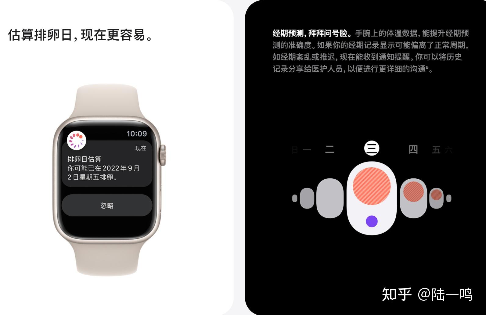 Apple Watch S8发布了，有什么需要关注的？目前S7和S8哪个更有性价比更适合购买？