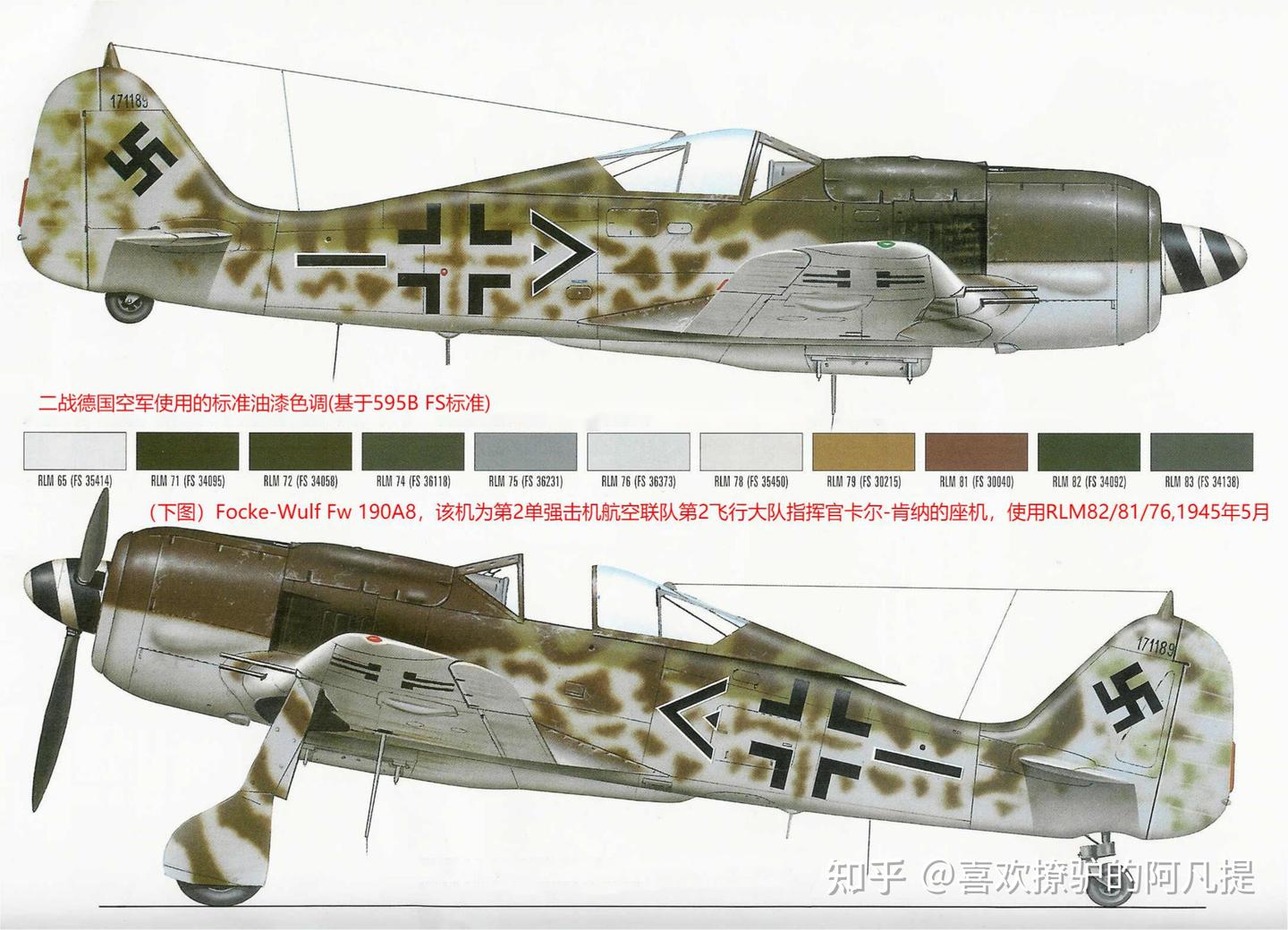 编号57：纳粹德国空军（Luftwaffe, 1935–1945）：军用飞机精讲专题01：Focke-Wulf Fw 190 Würger ...