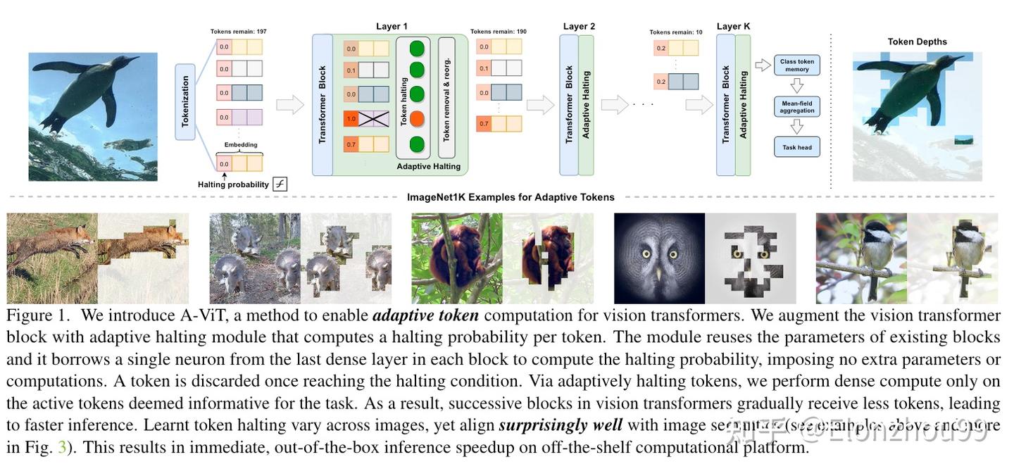 [2022CVPR]A-ViT: Adaptive Tokens for Efficient Vision Transformer（高效视觉 ...