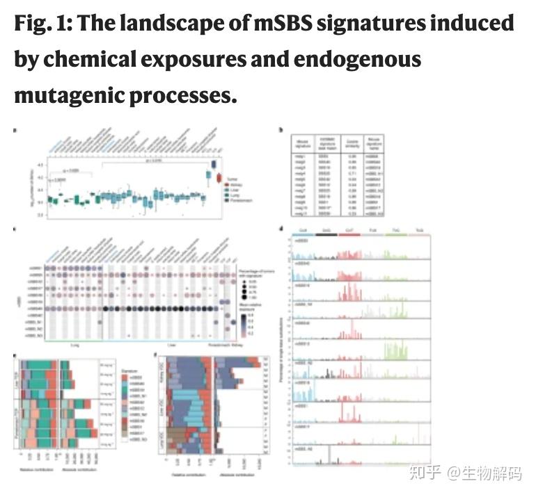 每日文摘 | 2020年10月02日 - 知乎