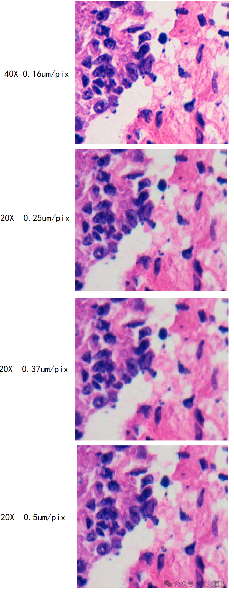 （预印本）BoltzGen降低AI疗法设计门槛，拓展可成药靶点疆界 - 知乎