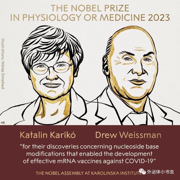 文献分享【Immunity】诺奖得主面对面——专访Katalin Karikó和Drew Weissman - 知乎