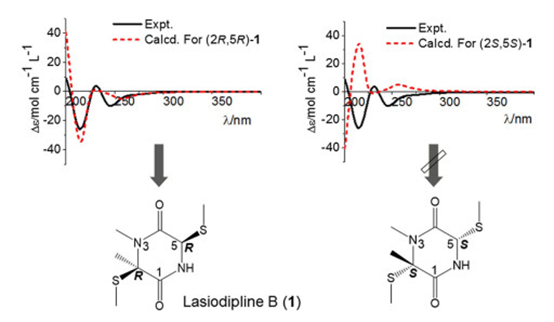 ECD计算确定有机化合物的绝对构型 - 知乎
