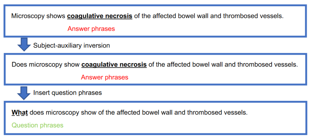 PathVQA 数据集介绍 - 知乎
