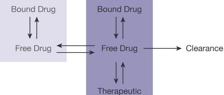 游离药物假说（free drug hypothesis）的局限性 - 知乎