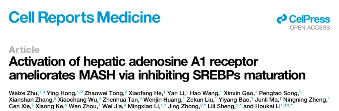 Cell Rep Med丨李后开/盛丽莉/钟婧/李明晓团队揭示A1R调控PKAc-SCAP-SREBPs通路改善MASH的机制 - 知乎