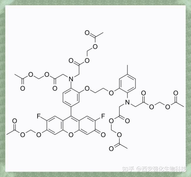 小白也能看懂：钙离子荧光探针Fluo-4 AM，Cell Permeant深度解析 - 知乎
