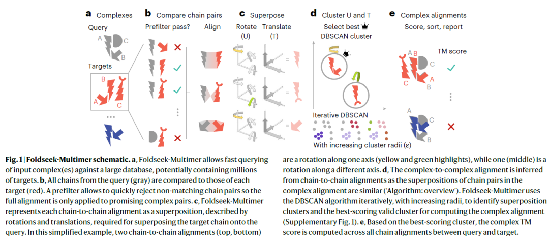 Nat. Methods | Foldseek-Multimer：快速且高灵敏度的蛋白质复合物比对方法 - 知乎